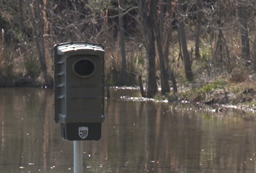 Wood Duck Nesting Boxes: Why, Where, When, and How | Mossy Oak Gamekeeper