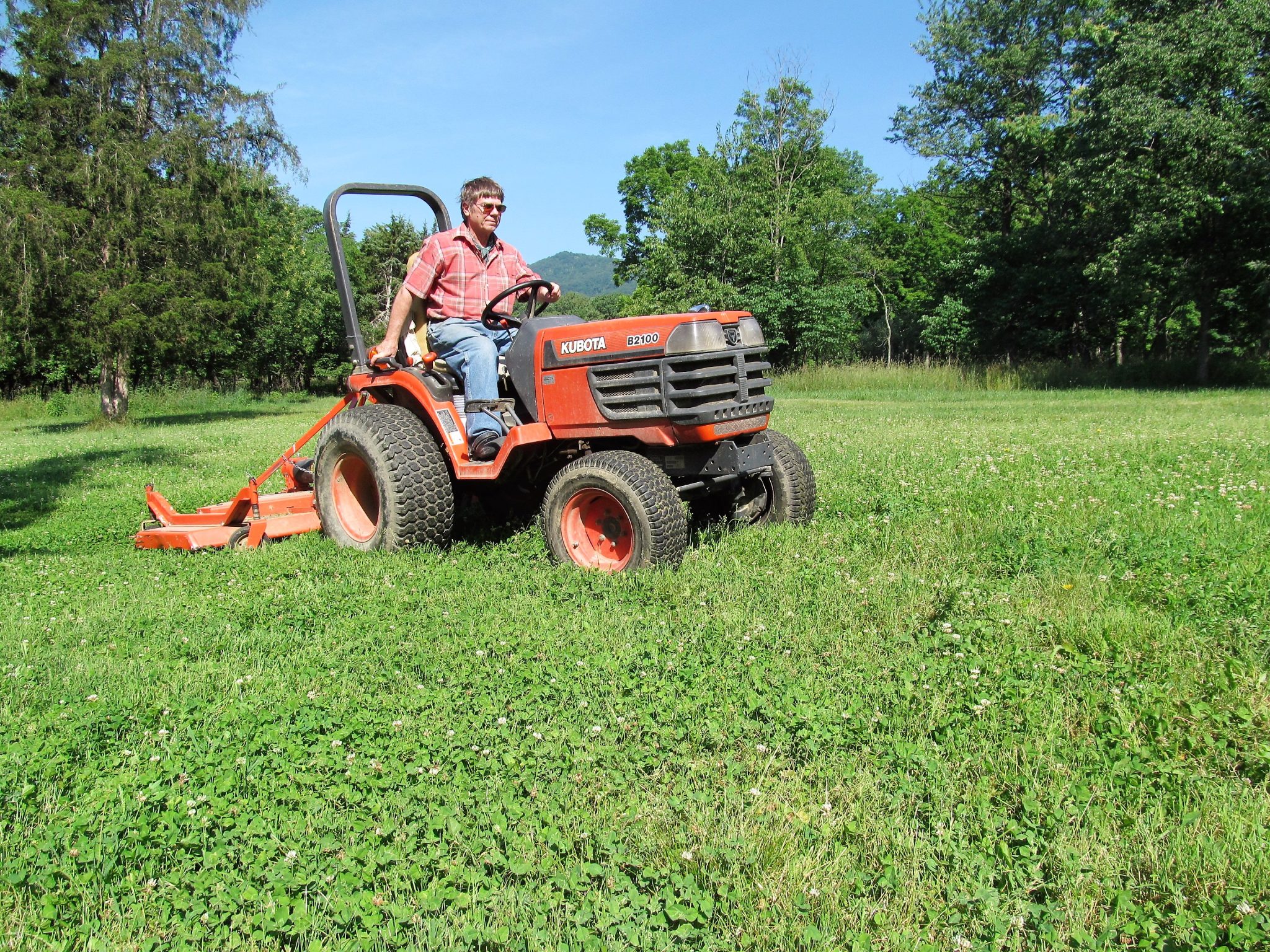 10 Reasons to Plant Clover Food Plots | Mossy Oak Gamekeeper