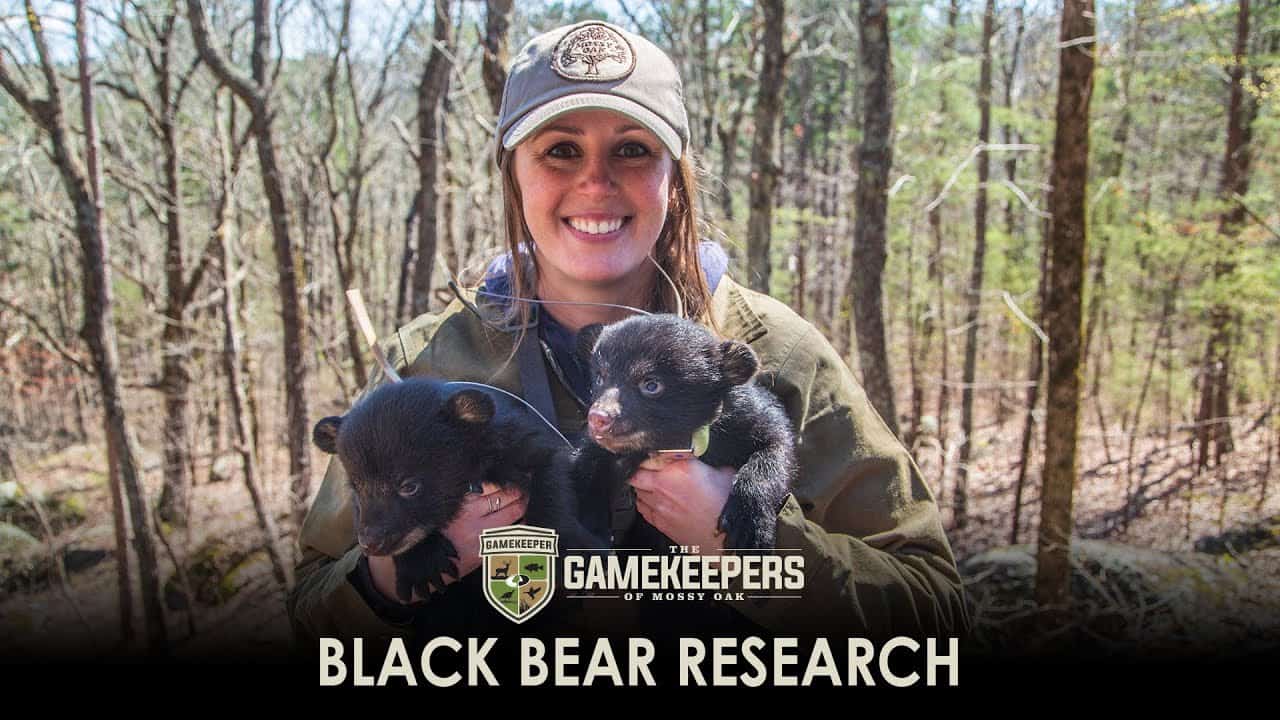 Black Bear Research | Mossy Oak Gamekeeper